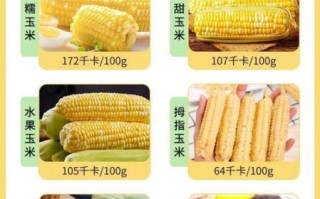 减肥为什么不能吃玉米_玉米热量高吗