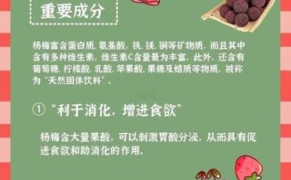 鲜杨梅的功效与作用_怎么吃不上火