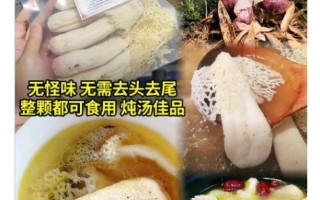 红竹荪图片大全_红竹荪和竹荪的区别