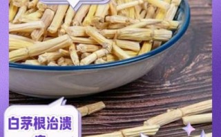 白茅根晚上不能喝_白茅根晚上喝会失眠吗
