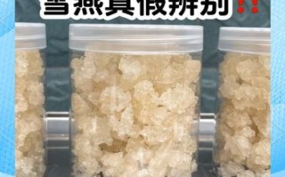 雪燕和燕窝的区别_哪个更好
