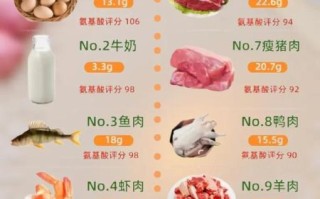 富含蛋白质的食物有哪些_高蛋白食物怎么吃