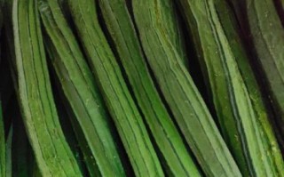 丝瓜品种图片大全_哪种丝瓜最好吃