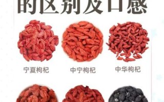 枸杞的营养价值_枸杞一天吃多少粒最好