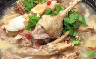 家常炖鸭子简单做法_鸭子怎么炖好吃不腥