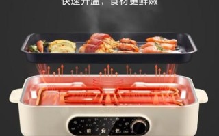 电烤炉哪个牌子好_家用电烤炉怎么选