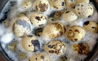 鹌鹑蛋怎么煮入味_鹌鹑蛋的家常做法