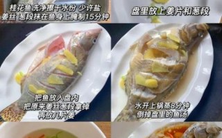 桂鱼怎么做好吃_清蒸桂鱼的家常做法