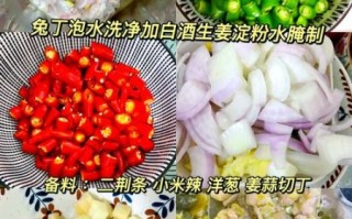 家常兔肉怎么做好吃_兔肉去腥最简单的方法