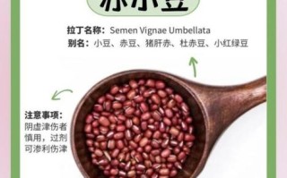 红豆和赤豆的功效区别_哪个更适合祛湿