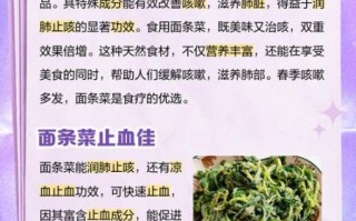 面条菜的营养价值_面条菜怎么吃最营养