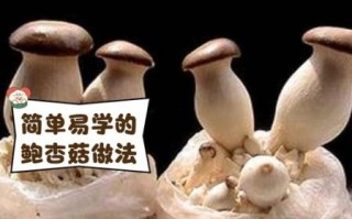 鲍鱼菇和杏鲍菇一样吗_区别与营养价值对比