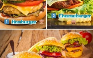 what_is_hamburger_abbreviation_in_english