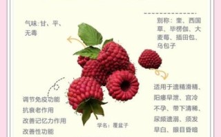 覆盆子是什么_覆盆子的功效与作用