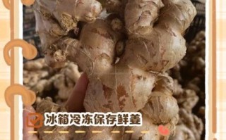 鲜姜怎么保存最好_鲜姜可以放冰箱吗