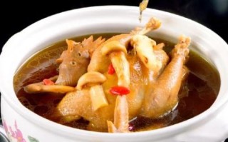 松茸汤怎么炖好喝_松茸汤做法步骤详解