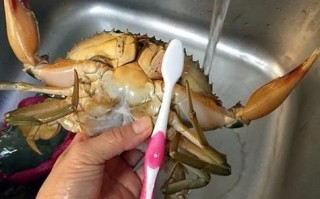活的螃蟹怎么杀死_如何快速杀活蟹