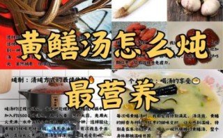 鳝鱼煲怎么做_鳝鱼煲用什么配料