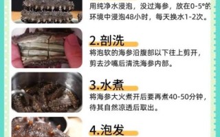 怎样发海参又快又好吃_海参怎么泡发不腥
