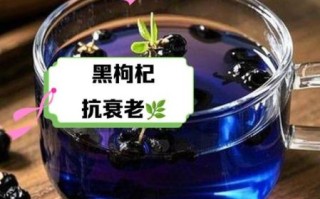 黑枸杞泡水喝的功效与作用_黑枸杞怎么泡水效果最好