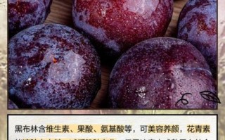 黑布林的功效与作用_黑布林的禁忌有哪些