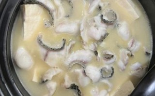 黑鱼豆腐汤怎么炖不腥_黑鱼豆腐汤的家常做法