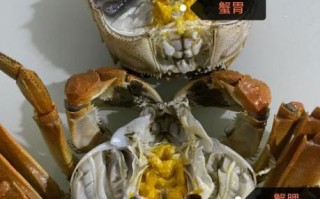 螃蟹哪里能吃哪里不能吃_螃蟹哪些部位不能吃