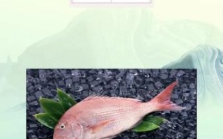 鲷鱼读diao还是chou_鲷鱼发音争议解析