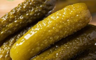 荷兰瓜的功效与作用_荷兰瓜怎么吃最营养