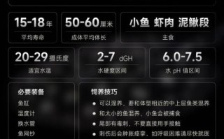 魟鱼价格表_魟鱼多少钱一只