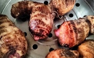 芋头蒸还是煮好吃_蒸芋头与煮芋头的区别