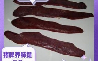 猪脾脏图片_猪脾脏解剖结构