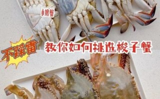 螃蟹怎么挑选_活蟹新鲜度怎么看