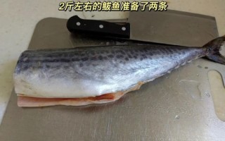 鲅鱼水饺馅怎么做_鲅鱼水饺馅怎么调不腥