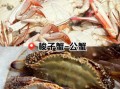 梭子蟹一年有几次鱼汛_梭子蟹最佳捕捞时间