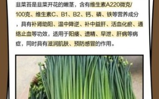 韭菜苔图片怎么挑选_韭菜苔和韭菜的区别