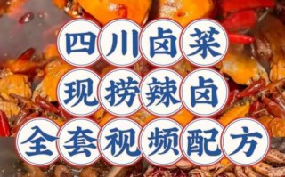 四川卤肉配方怎么做_正宗川卤肉做法