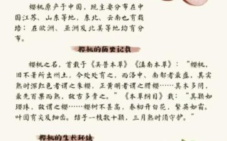 樱桃的功效与作用有哪些_樱桃营养价值高吗