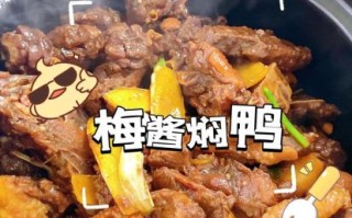红烧鸭肉怎么做_红烧鸭肉的家常做法