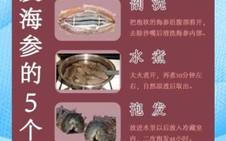 海参怎么泡发_海参泡多久才软
