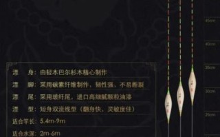 鱼漂什么牌子好_钓鱼新手怎么选漂