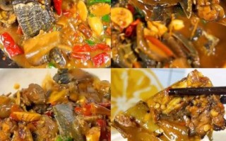 红烧甲鱼怎么做_红烧甲鱼的家常做法