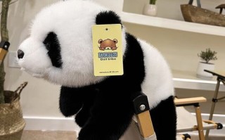 天才小熊猫是谁_为什么突然爆火