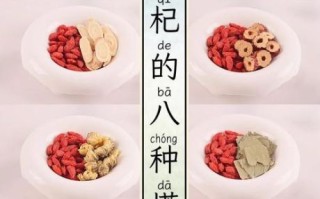 枸杞泡茶有什么作用_枸杞泡茶的功效与禁忌