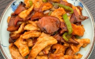 牛肝菌怎么做好吃_牛肝菌做法大全