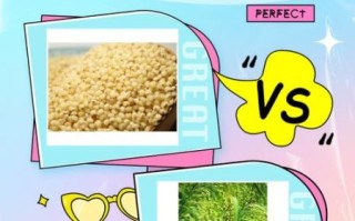 黍稷是什么农作物_黍稷和小米的区别