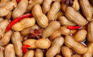 卤味花生米怎么做_卤味花生米的配料窍门