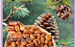 东北特产有哪些零食_哪些值得买