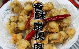 扇贝网怎么用_扇贝网收费吗