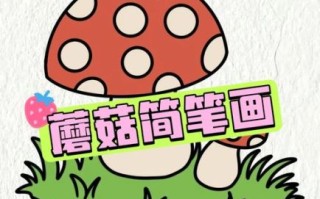 蘑菇图片大全彩色画_怎么画